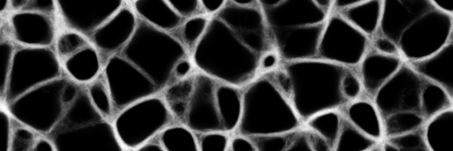 Physarum Transport Network
